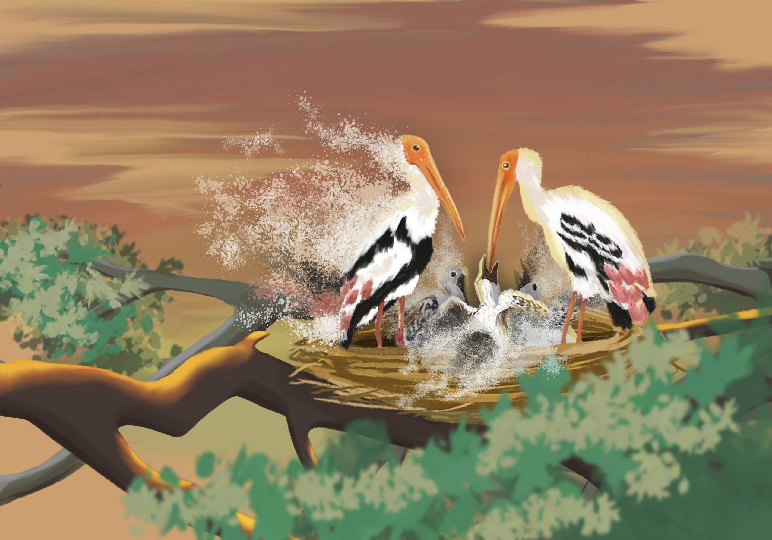 The Cry of a Female Painted Stork – Mekong Wonders